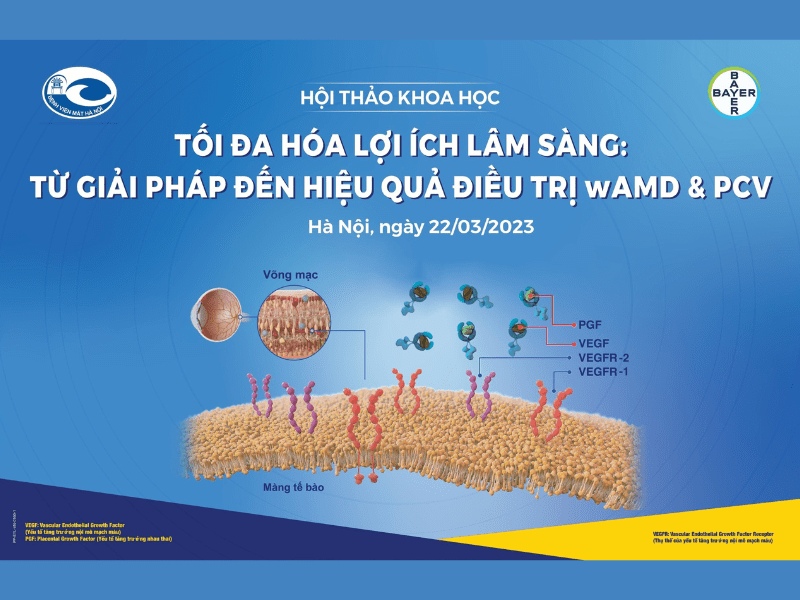 HỘI THẢO KHOA HỌC "TỐI ĐA HÓA LỢI ÍCH LÂM SÀNG: TỪ GIẢI PHÁP ĐẾN HIỆU ...